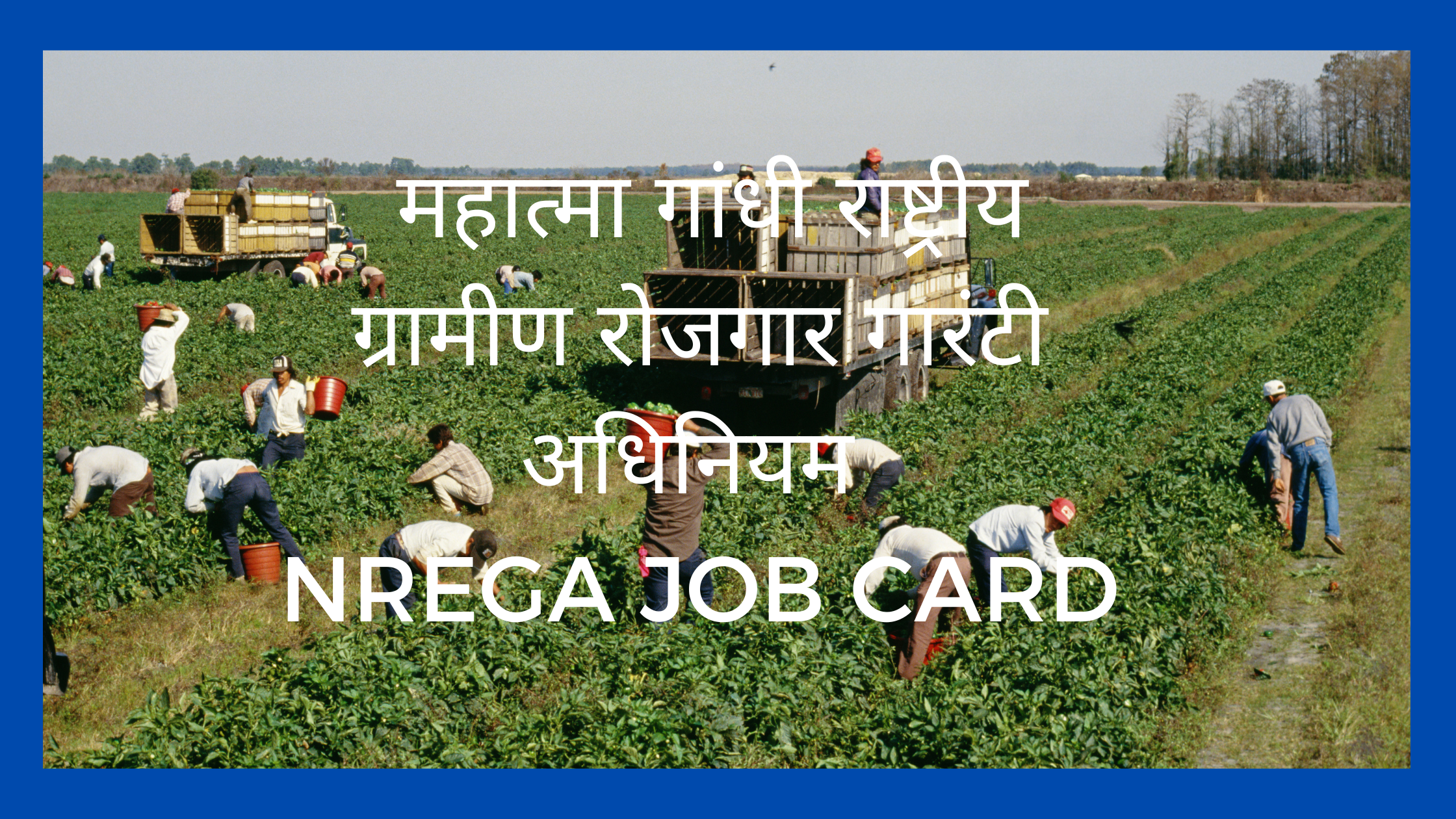 What is Nrega Job Card & How to Apply for Job card?